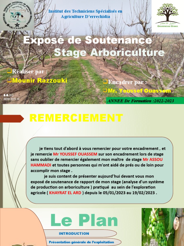 Exposé de Soutenance | PDF | Zinc