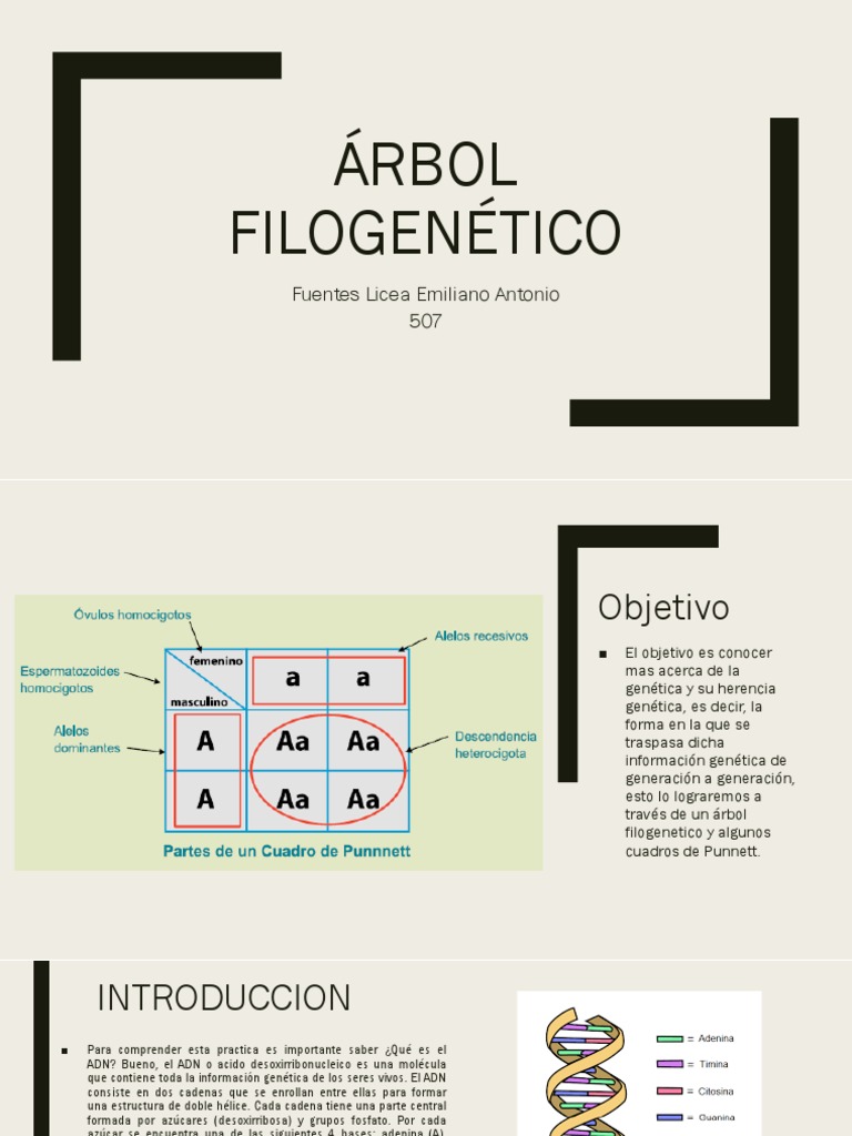 Arbol Filogenetico | PDF | Adn | Genética