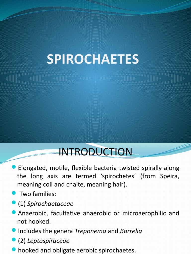 Spirochaetes | PDF | Infection | Bacteria
