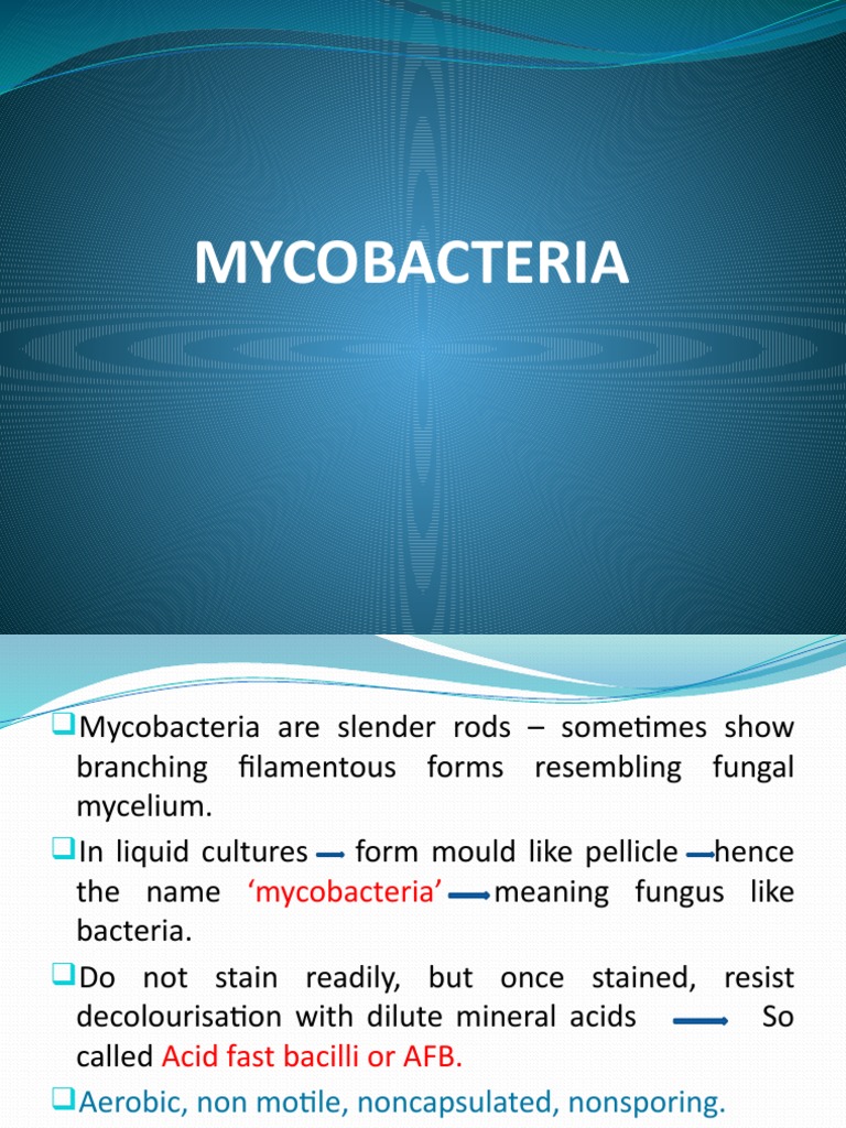 My Co Bacteria | PDF | Tuberculosis | Microbiology