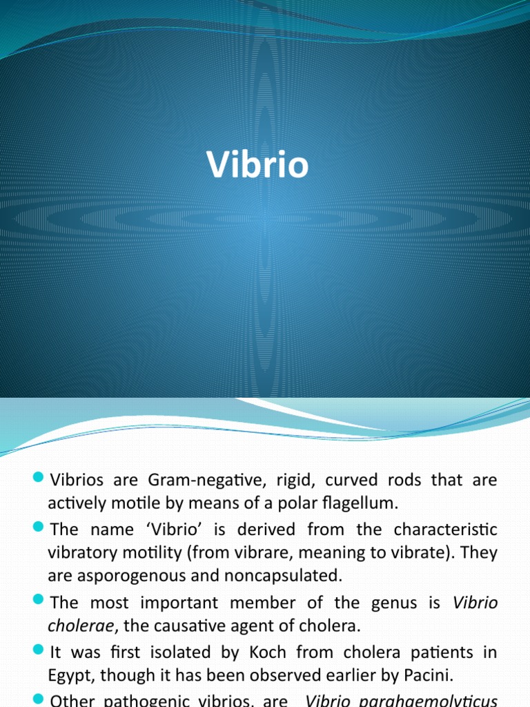 Vibrio | PDF | Cholera | Diarrhea