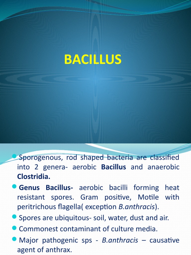 Bacillus | PDF | Bacillus | Anthrax
