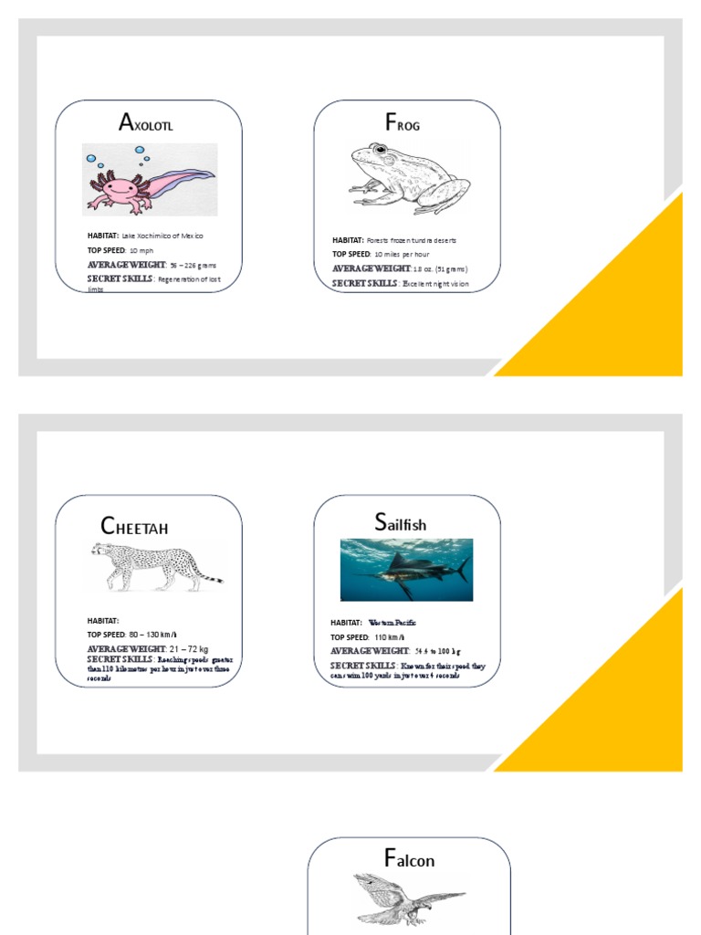 Animal Fact Card | PDF