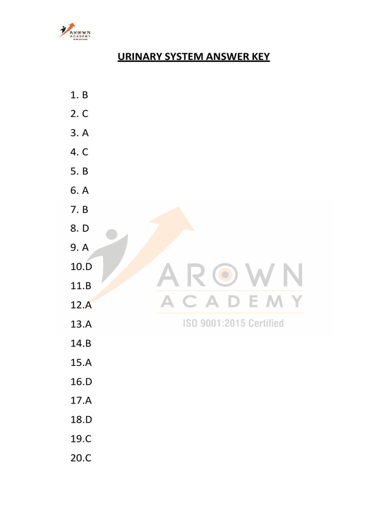 Urinary System Answer Key-Converted - Watermarked | PDF