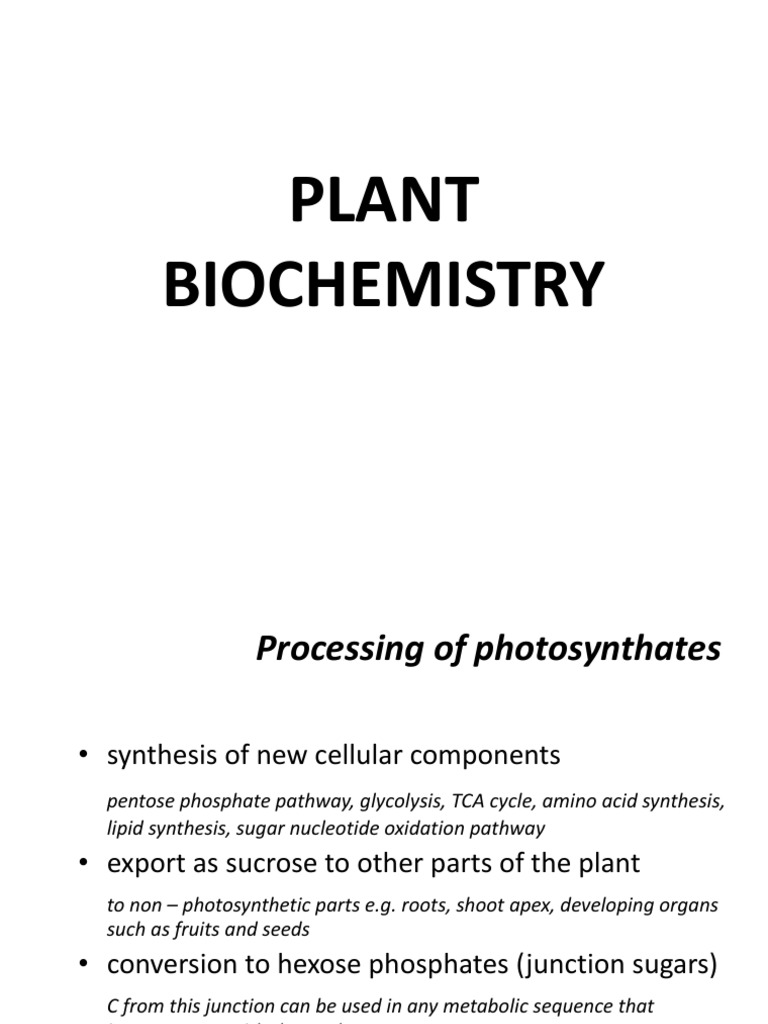 Plant Biochemistry 2 Rev | PDF | Metabolism | Carbohydrates