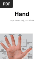 Thumb: Range of Motion | PDF | Thumb | Hand