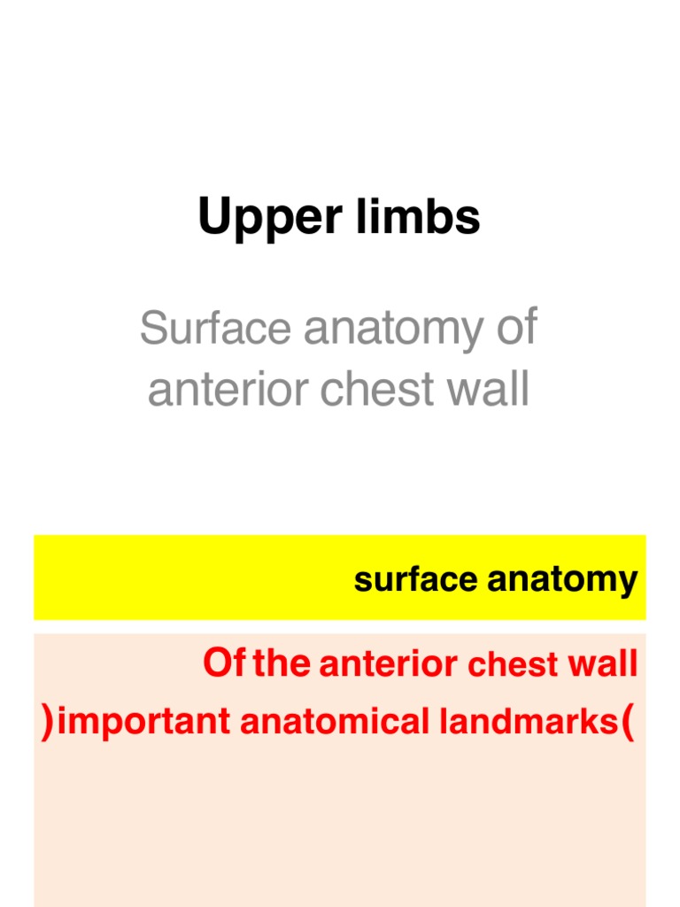 Upper Limb 2 Chest Landmarks PDF | PDF