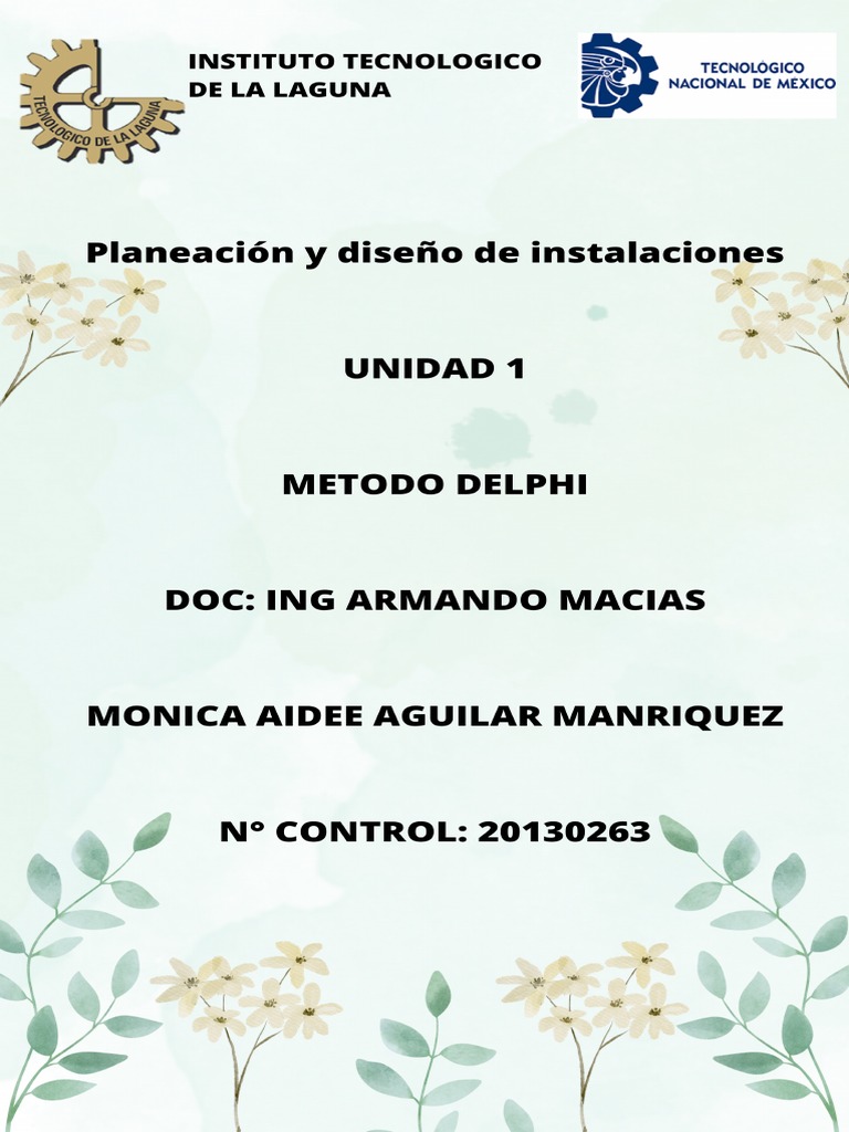 Metodo Delphi | PDF