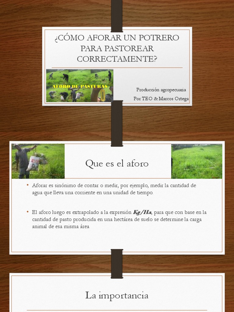 Cómo Aforar Un Potrero para Pastorear Correctamente | PDF | Pasto ...