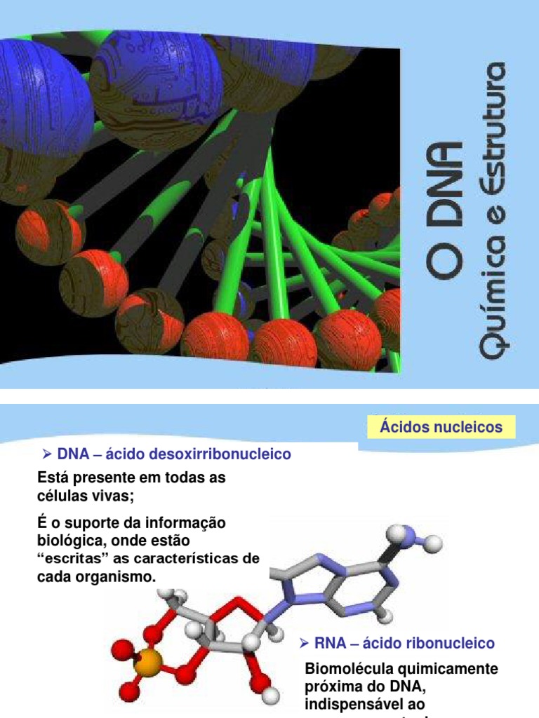 Estrutura e Química do DNA | PDF | Espiral dupla de ácido nucleico | DNA