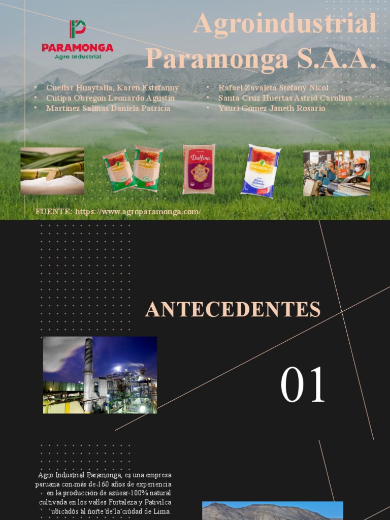 AGROINDUSTRIAL PARAMONGA S.A.A. Grupo 7 | PDF | Cosecha | Economias