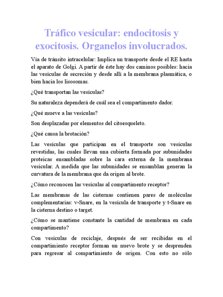 Tráfico Vesicular: Endocitosis y Exocitosis | PDF | Lisosoma | Retículo ...
