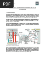 5 Trafico Vesicular | PDF | Biología Celular | Bioquímica
