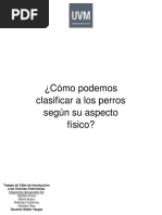 Morfología del perro: Graioides y Occipucio | PDF | Diente | Pastor alemán