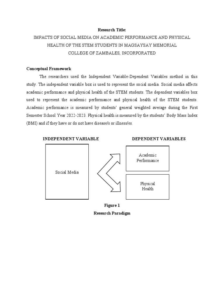 Chapter 1.3 Conceptual Framework | PDF