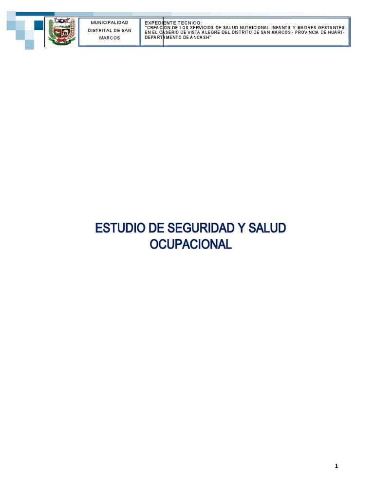 5 Estudio de Seguridad y Salud Ocupacional | Descargar gratis PDF | Evaluación de riesgos ...