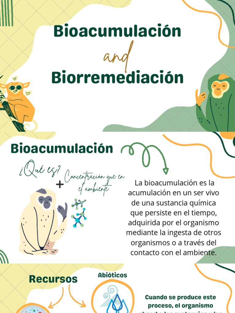 Bioacumulación & Biorremediación | PDF