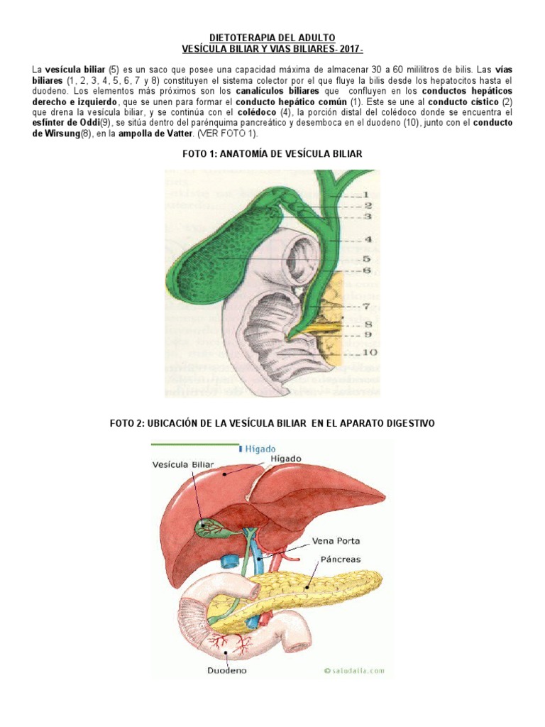 Dietoterapia y Litiasis Biliar en Adultos | PDF | Bilis | Vesícula biliar