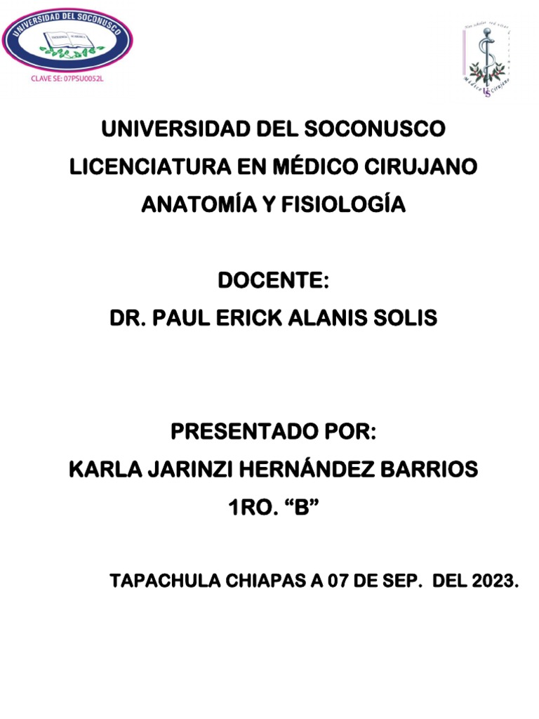 La Piel Pdf Piel Epidermis