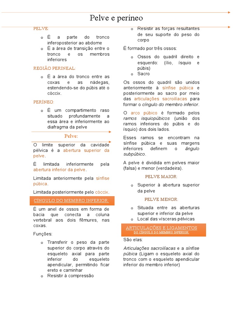 Pelve e Períneo | PDF | Pélvis | Anatomia