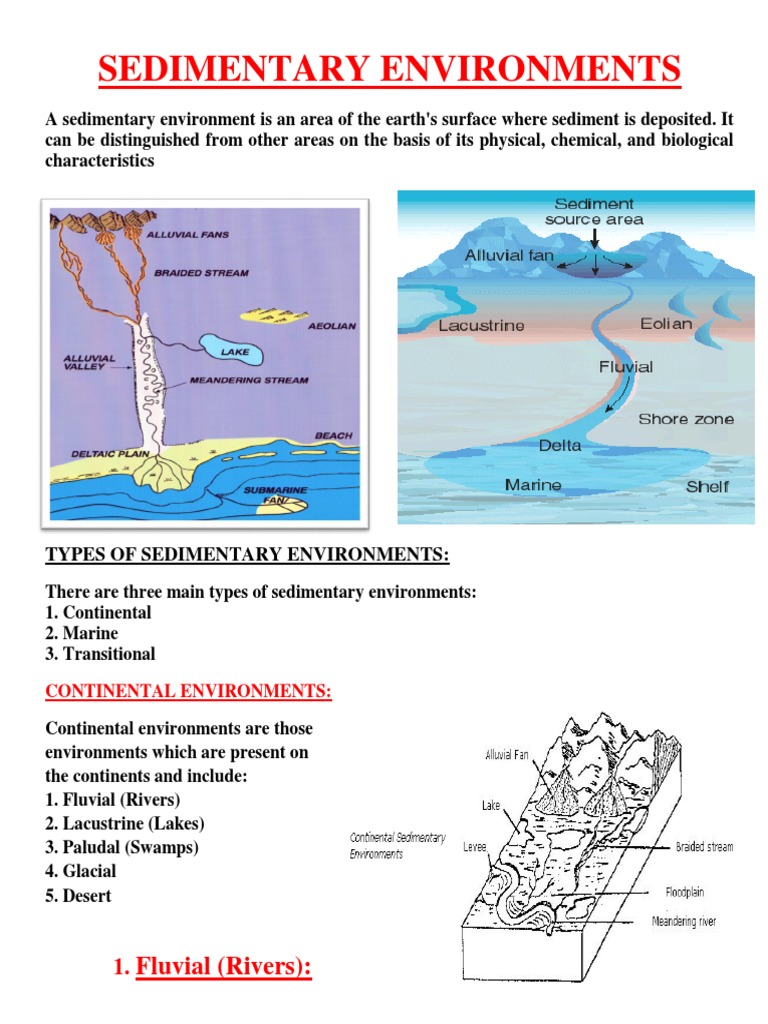 Sedimentary Environments | PDF | Floodplain | Sedimentary Rock