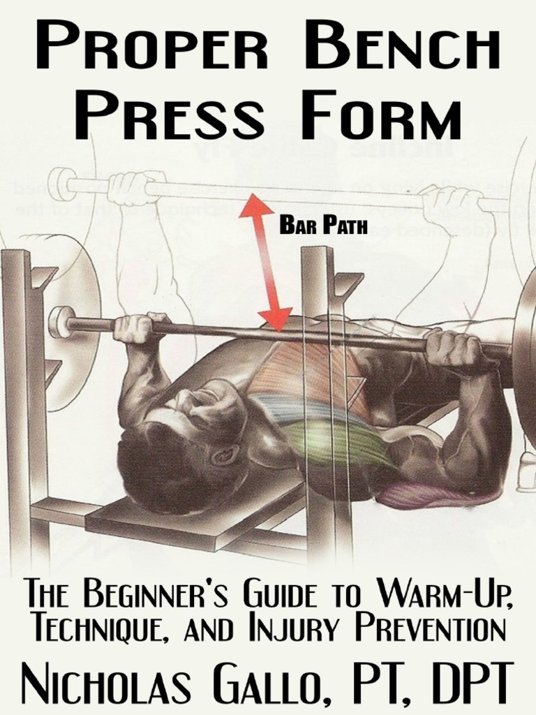 Gallo, Nicholas - Proper Bench Press Form - The Beginner's Guide To ...