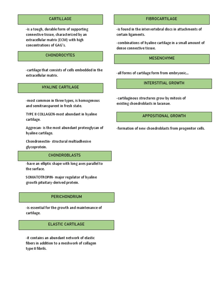 Types and Histology of Cartilage | PDF