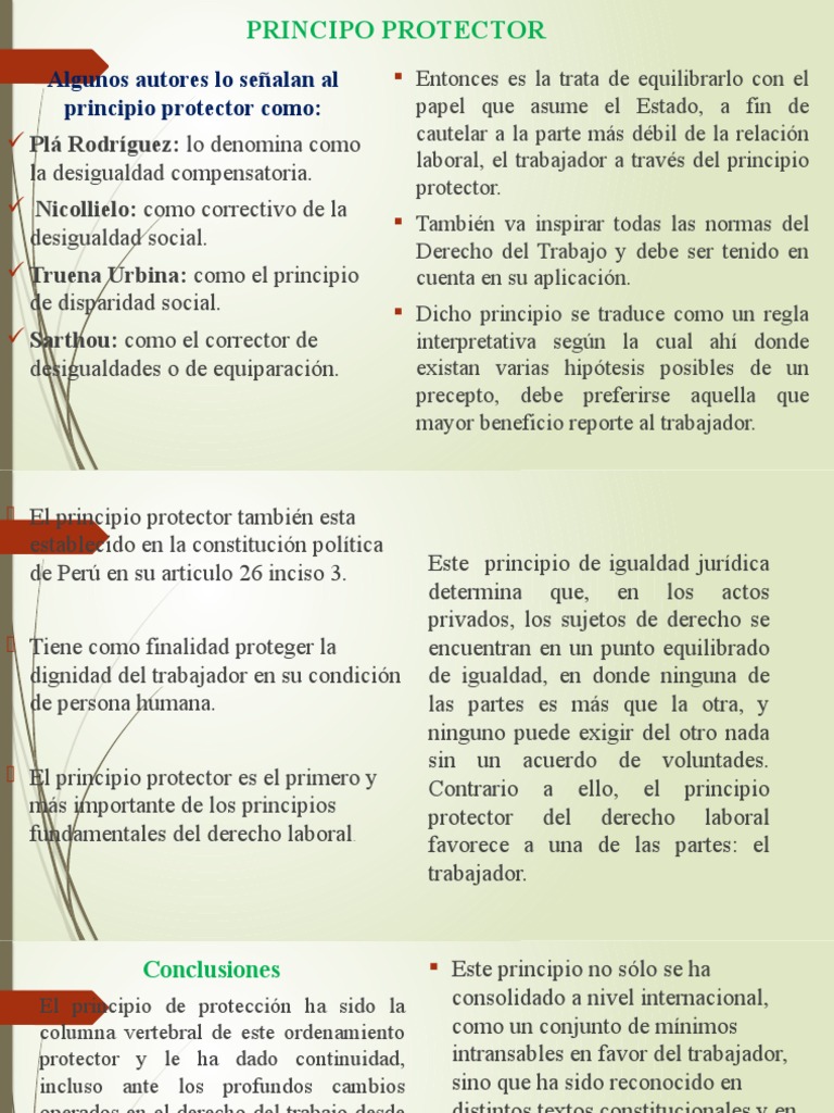 Principio Protector en Derecho Laboral | PDF | Derecho laboral | Desigualdad social