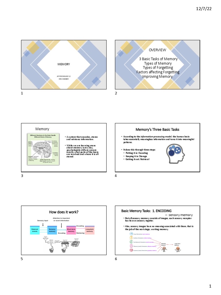 Memory | PDF | Memory | Working Memory