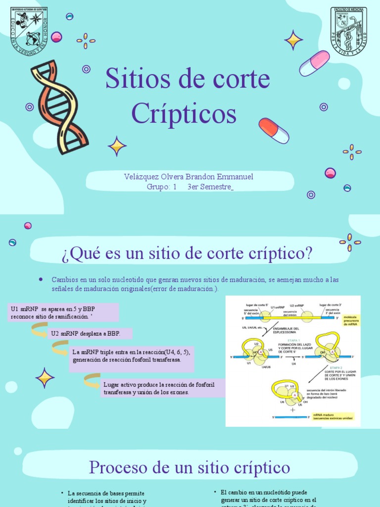 Sitios de Corte Crípticos (Maduración ARNm) | PDF | Estudios de idiomas ...