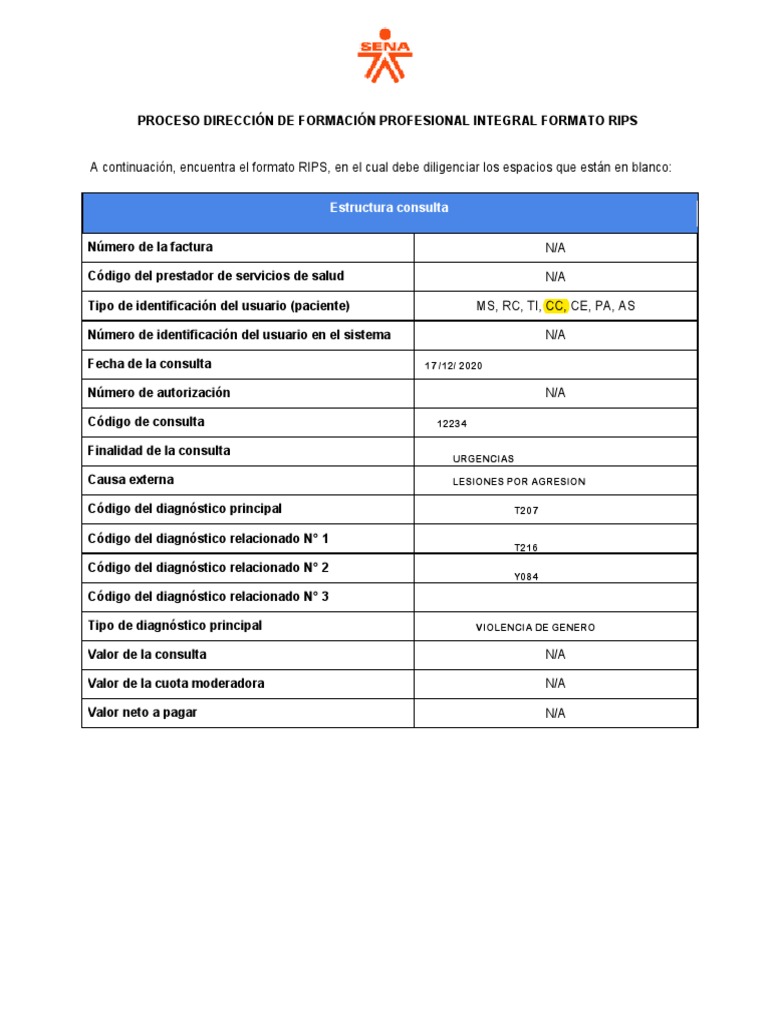 Anexo Formato RIPS | PDF