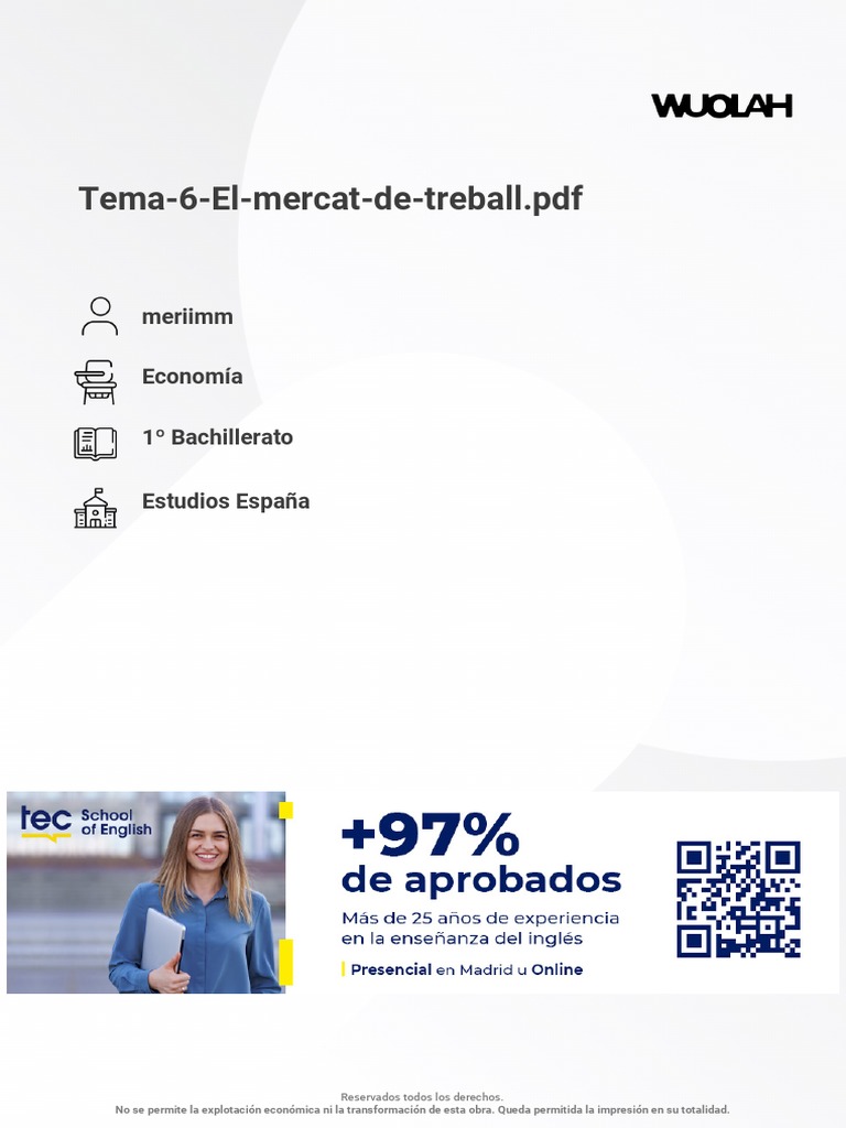 Tema 6 El Mercat de Treball | PDF