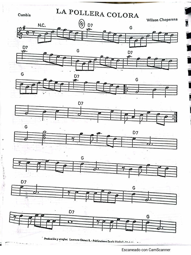La Pollera Colora | PDF