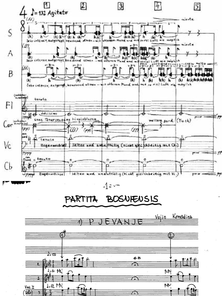 Komplet Za Sibelius | PDF