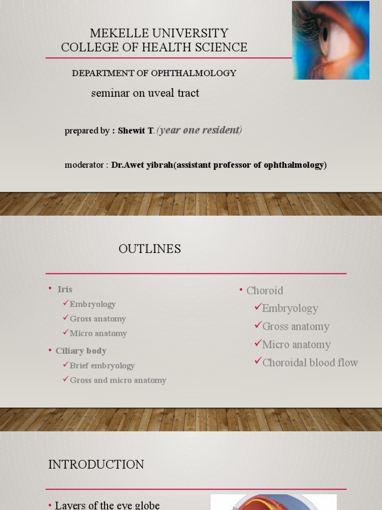 Uvea | PDF | Human Eye | Artery