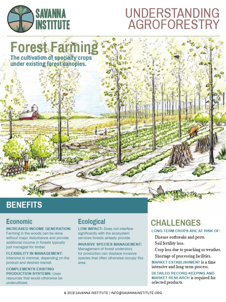 Forest Farming-Understanding Agroforestry | PDF | Forests | Agriculture