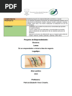 Proyecto de Tejido 01-11-2014 | PDF | Tejer | Creatividad