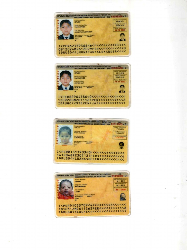 Dni Hijos - Cesar Idrugo | PDF