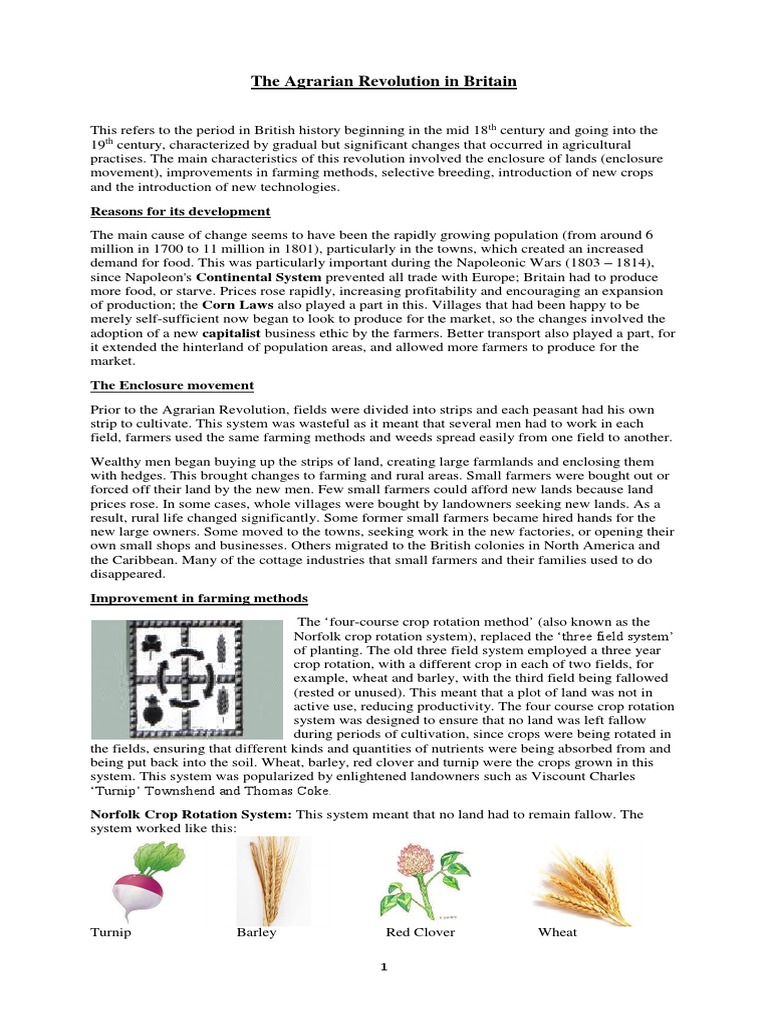 The Agrarian Revolution in Britain | PDF | Crop Rotation | Plough