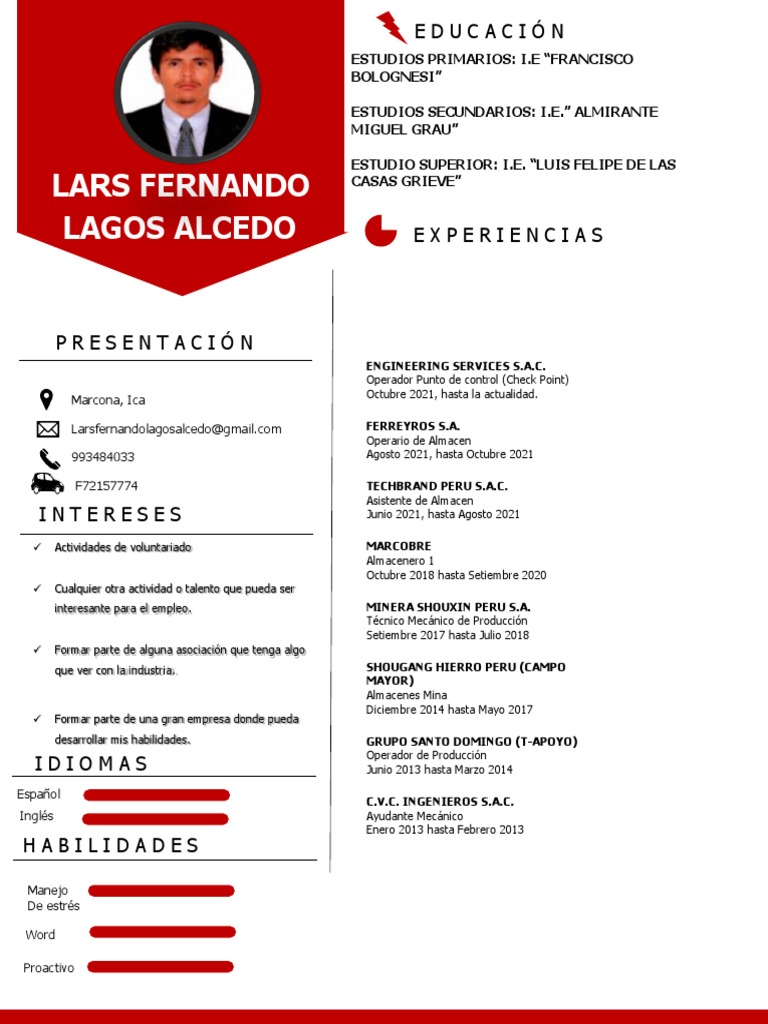CV Lars Lagos | PDF