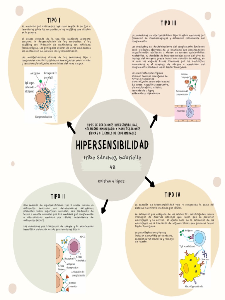 Mapa Mental Funcionales Inmunología - Hipersensibilidad - Iribe ...