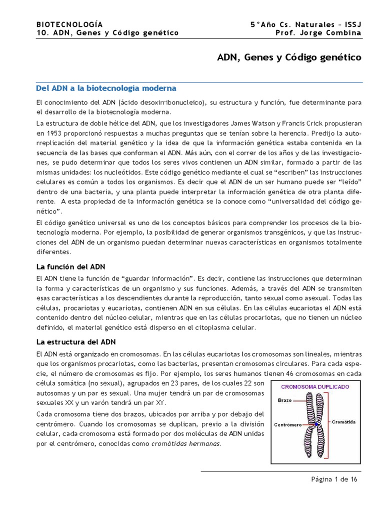 Ing Genetica 1 | PDF | Adn | Rna