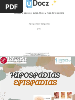 Clasificación de Fimosis Kayaba | PDF | Mamíferos machos | Pene