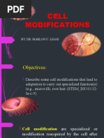 Cell Cycle | PDF | Mitosis | Cell Cycle
