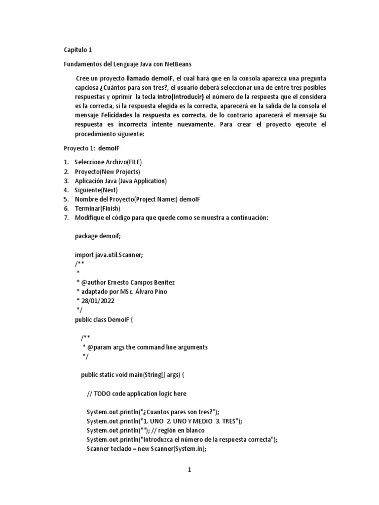 Crear Proyecto Neat Beans | PDF | Java (lenguaje de programación) | Ventana (informática)