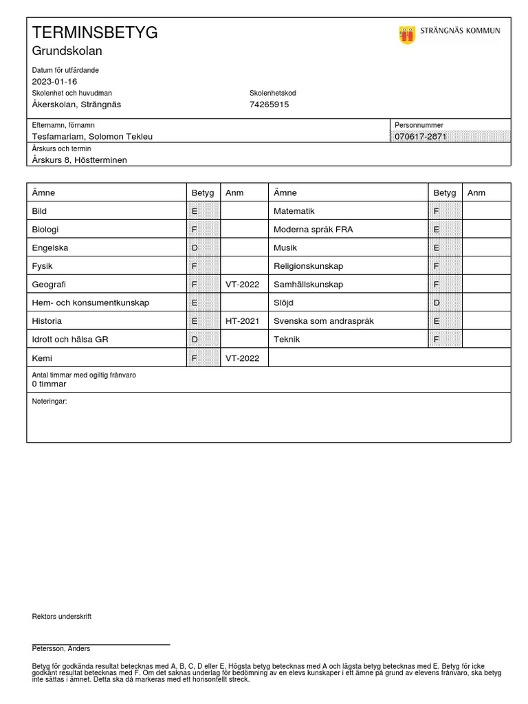 Grade School End of Term Report | PDF