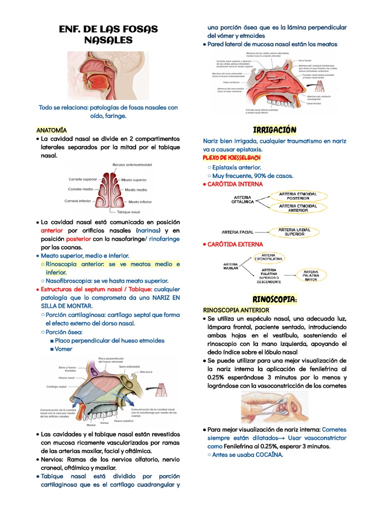 Enfermedades de Las Fosas Nasales | PDF | Nariz humana | Alergia