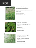 Forage Grasses and Legumes List | PDF | Legume | Clover