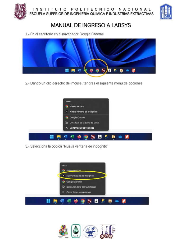 Manual de Ingreso A Labsys | PDF | Informática