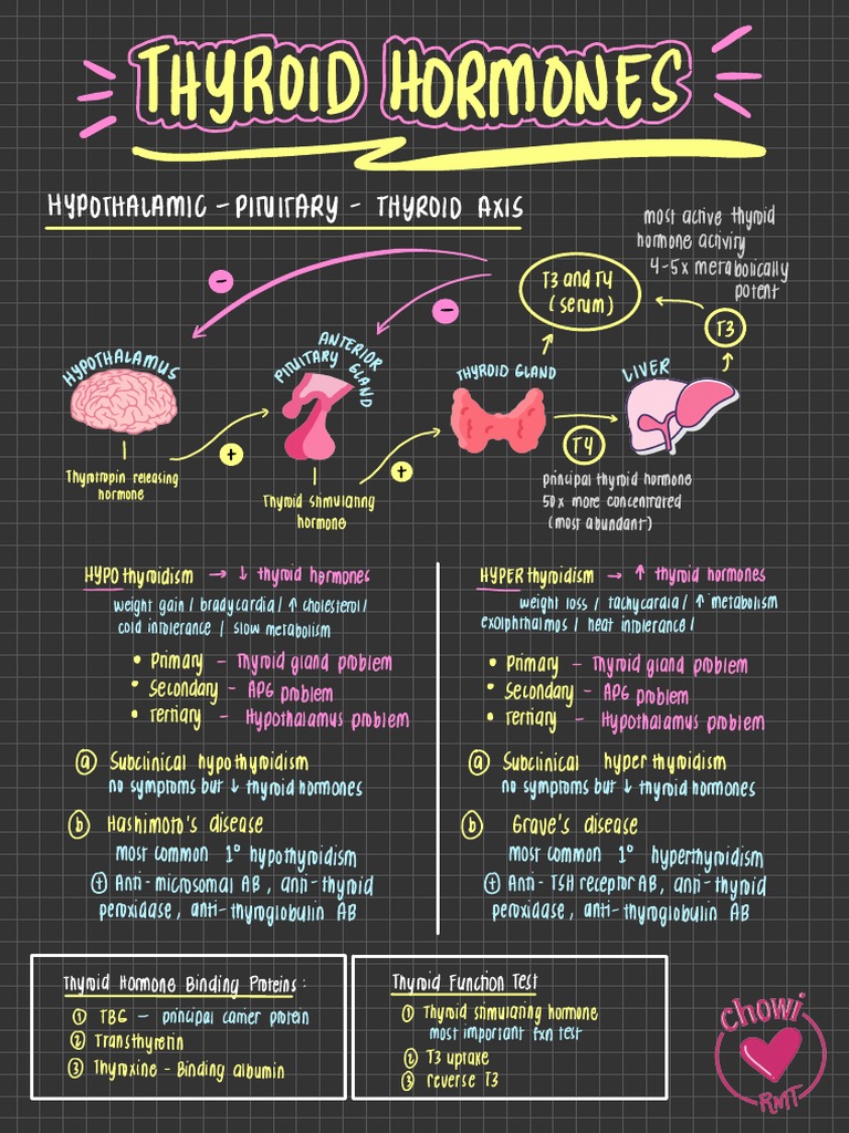 Thyroid Hormones | PDF | Thyroid | Hypothyroidism